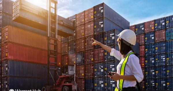 Bonus Export Digitale Plus: contributi a fondo perduto per l’acquisto ...