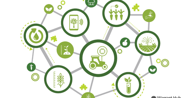 PNRR: il punto sui nuovi bandi in arrivo dal Masaf